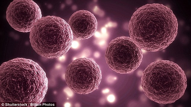 Conheça nova arma que cientistas criaram contra as super-bactérias