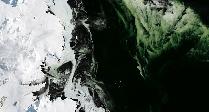 Nasa registra fenômeno raro: o gelo verde